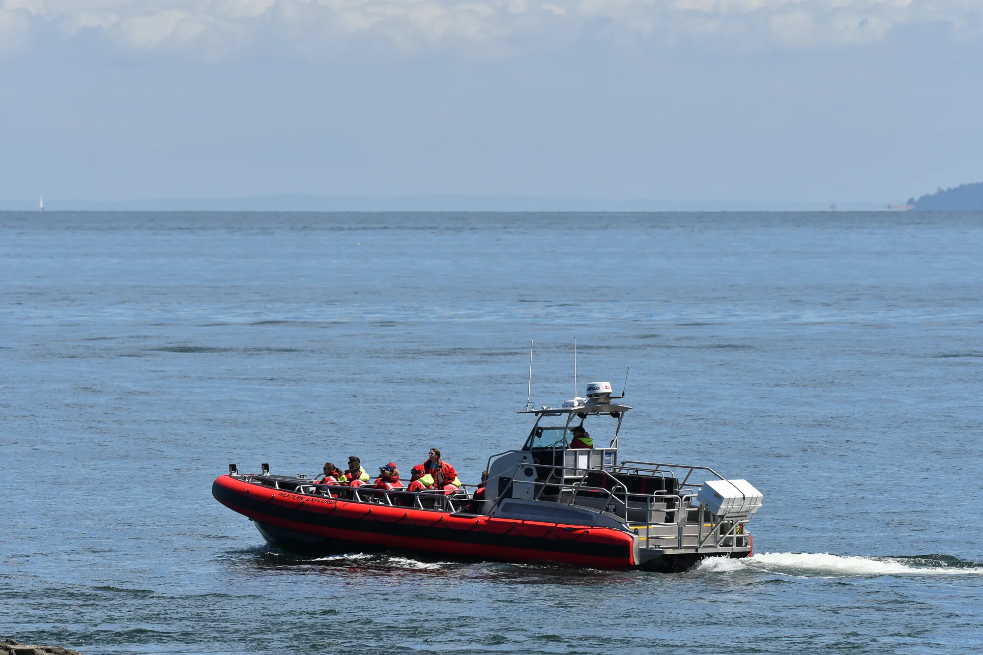 Adventure Whale Watching in the San Juan Islands | Western Explorer II